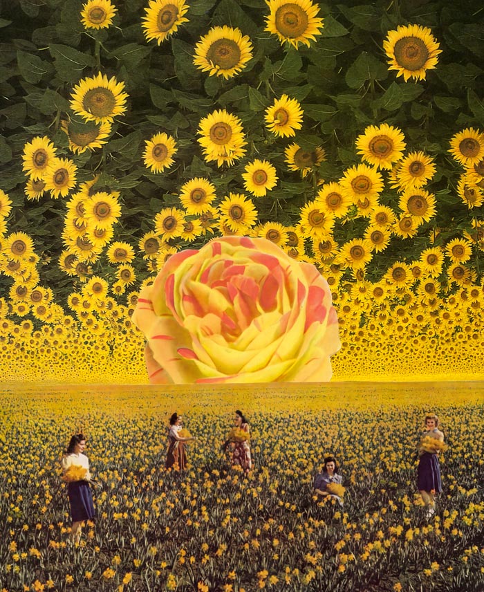 Laura Weiler | Kolaj Magazine Artist Directory