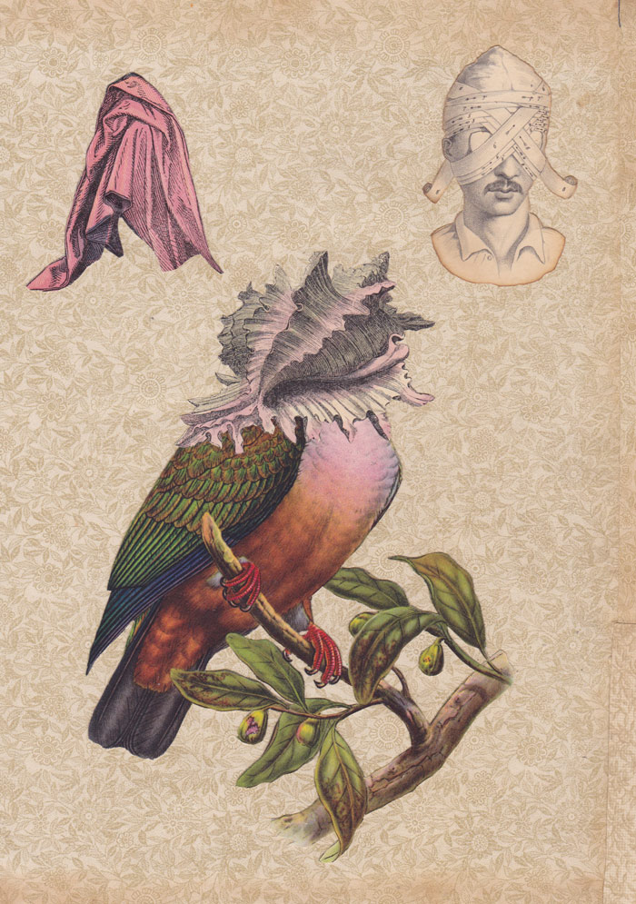 Brian Barker | Kolaj Magazine Artist Directory